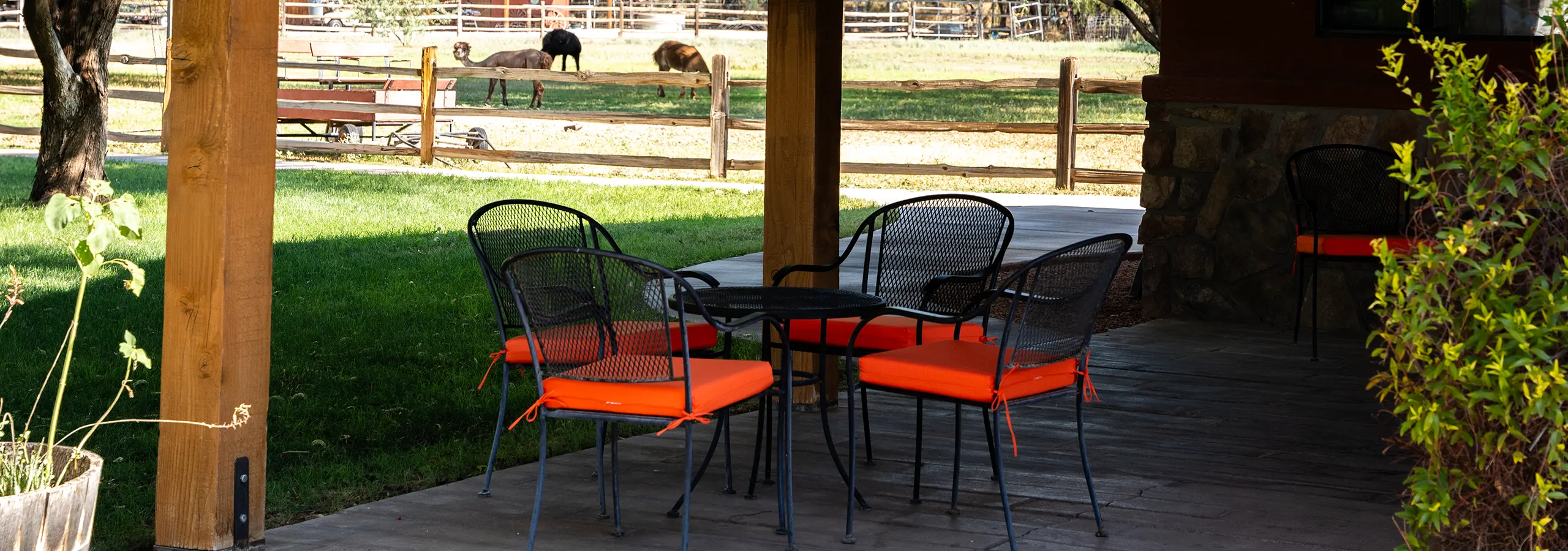 Amenities – Rustic Ranch Senior Living